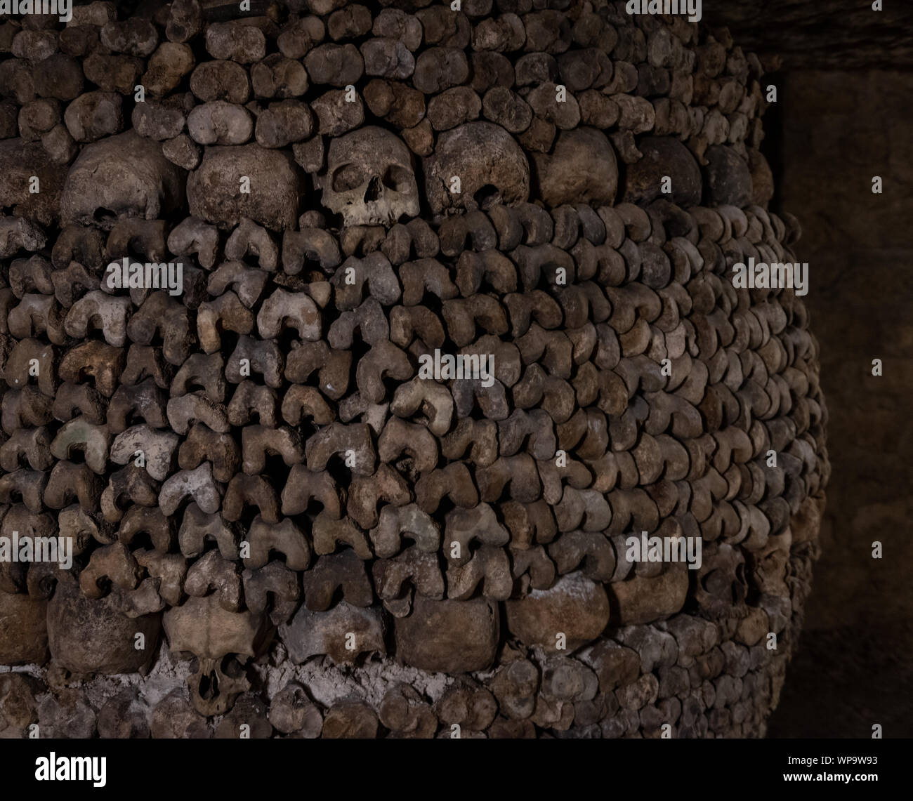 Skulls and Bones from the catacombs in Paris France Stock Photo - Alamy