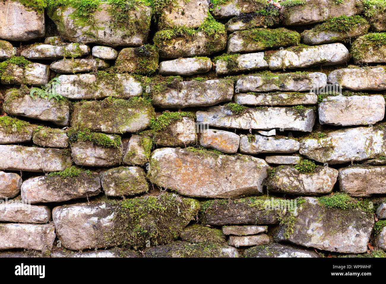 Mossy Brick Texture Moss Covered Stone Wall Texture For Natural Design