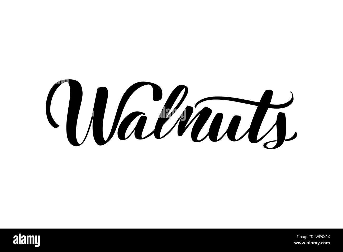 Inspirational handwritten brush lettering . Vector calligraphy ...