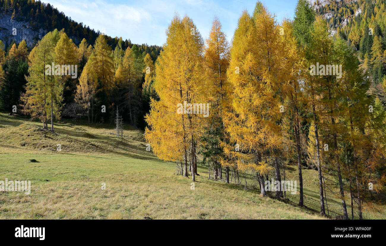 Detroit people walking hi-res stock photography and images - Alamy