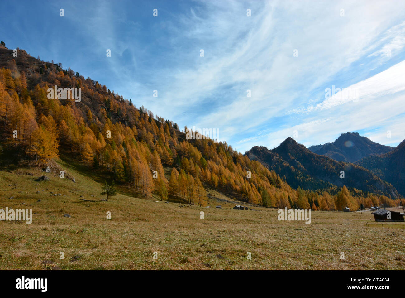 the colors of autumn Stock Photo - Alamy