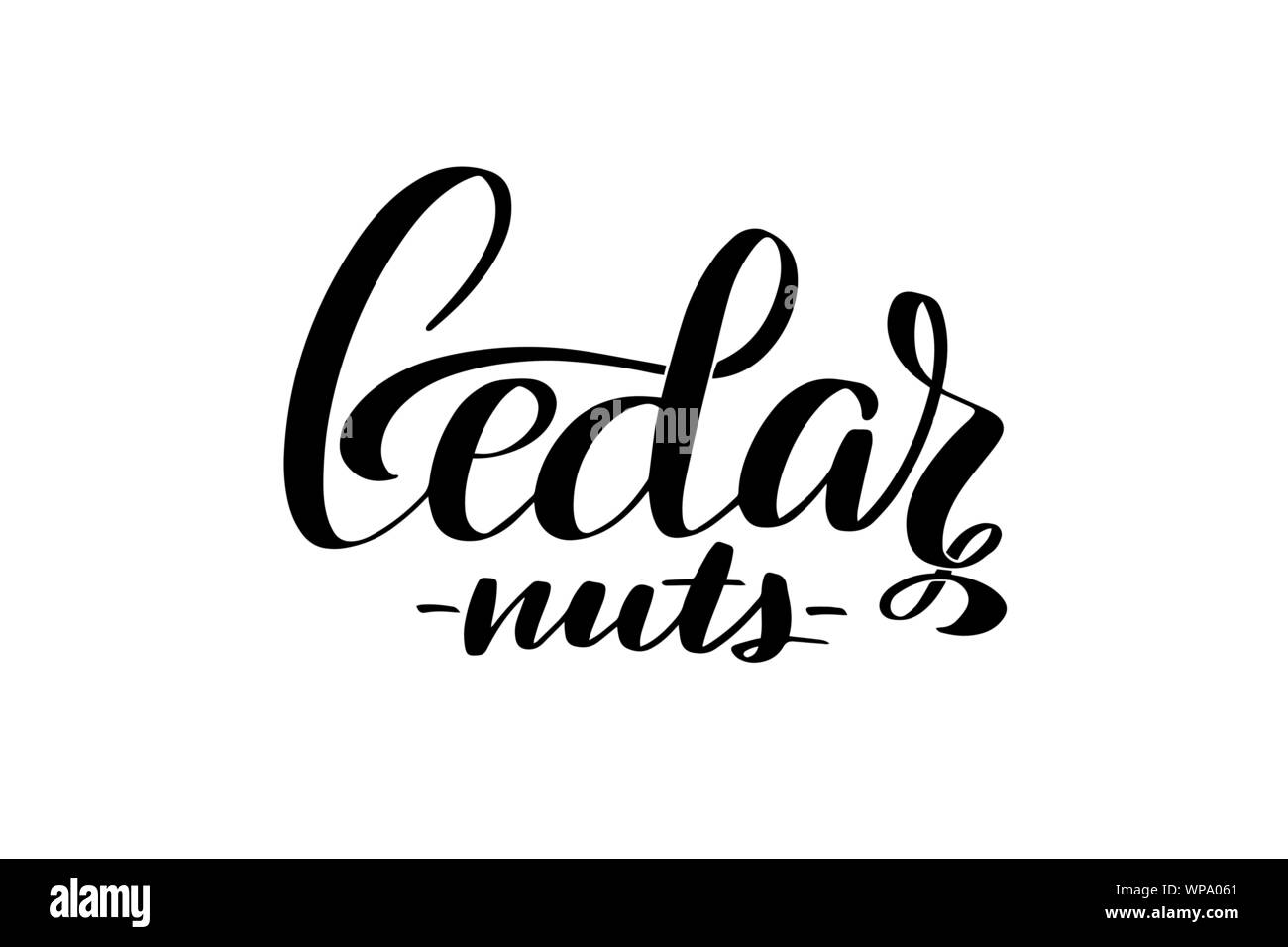 Inspirational handwritten brush lettering . Vector calligraphy ...