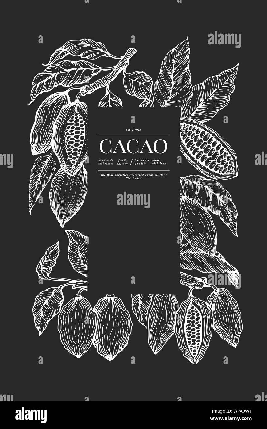 Cocoa banner template. Chocolate cocoa beans background. Vector hand ...