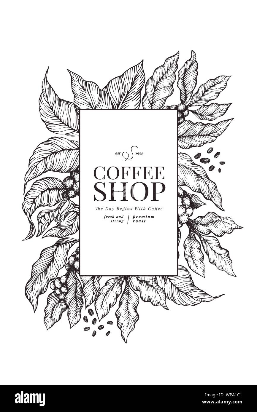 Coffee vector design template. Retro coffee background. Hand drawn ...