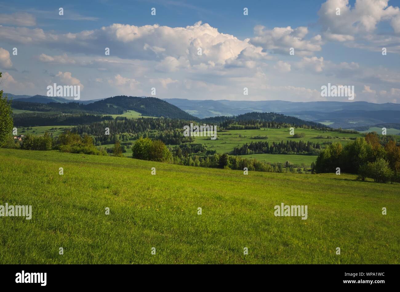 Beautiful mountain spring landscape. Picturesque valley and green hills ...