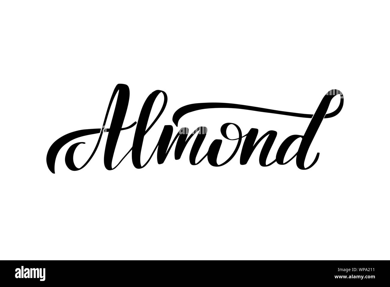 Inspirational handwritten brush lettering . Vector calligraphy ...