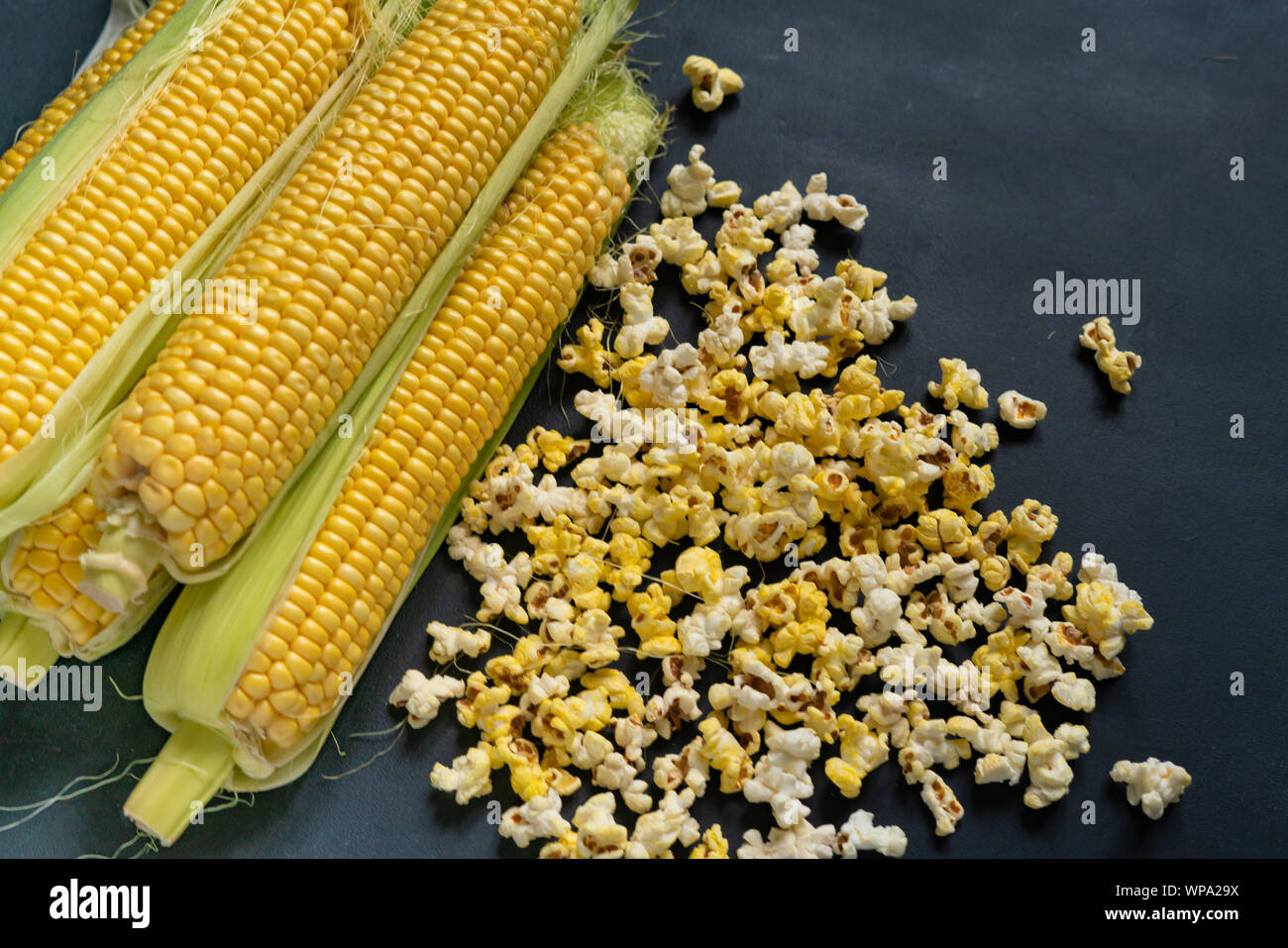 yellow popcorn and corncobs and raw corn, salt and sweet tastes Stock ...