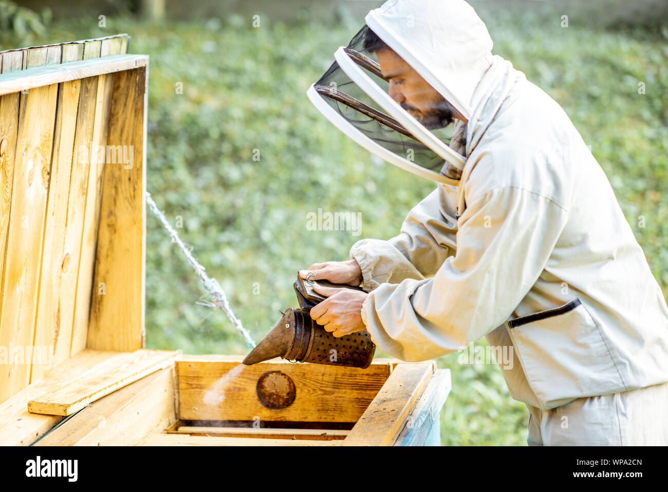 Beekeeper smoking honey bees with bee smoker on the apiary Stock Photo ...