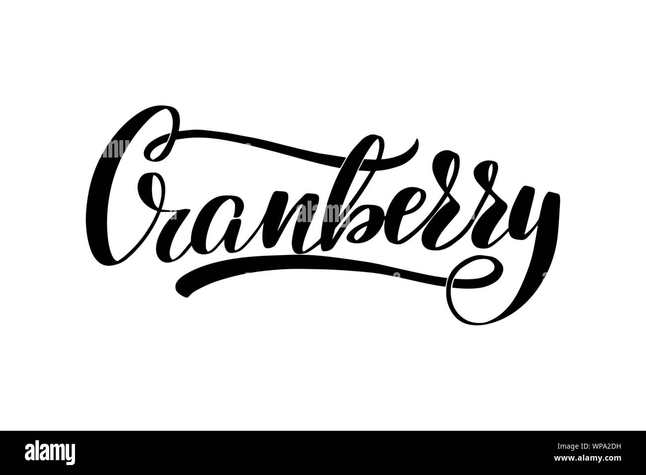 Inspirational handwritten brush lettering . Vector calligraphy ...