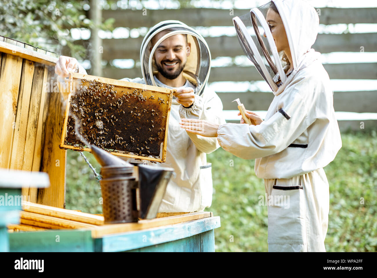 Two young beekepers in protective uniform working on a small apiary ...