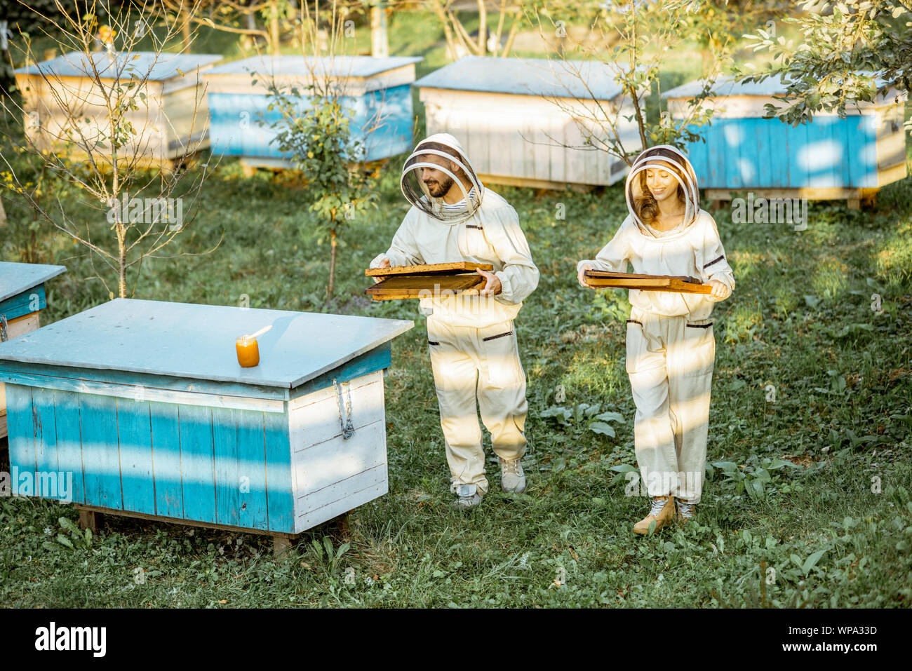 Two beekeepers in protective uniform walking with honeycombs while ...
