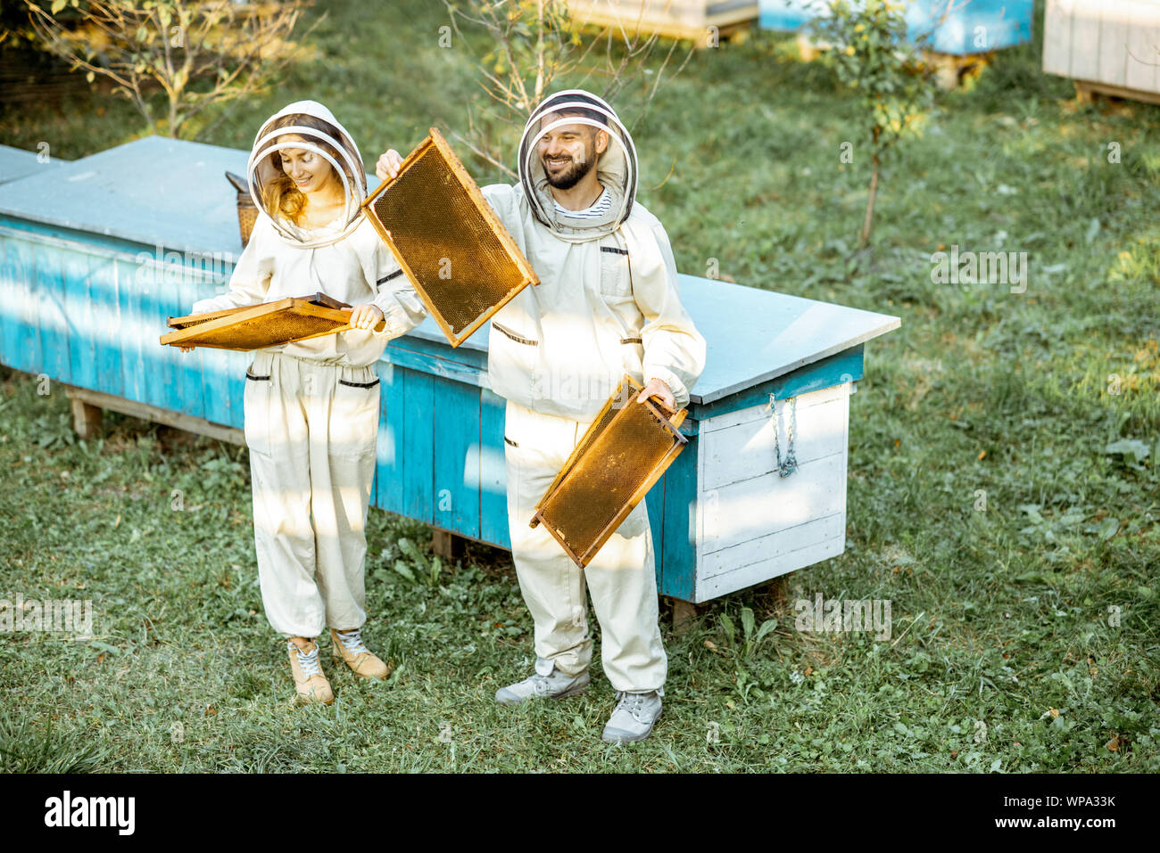 Two beekeepers in protective uniform examining honeycombs while working ...