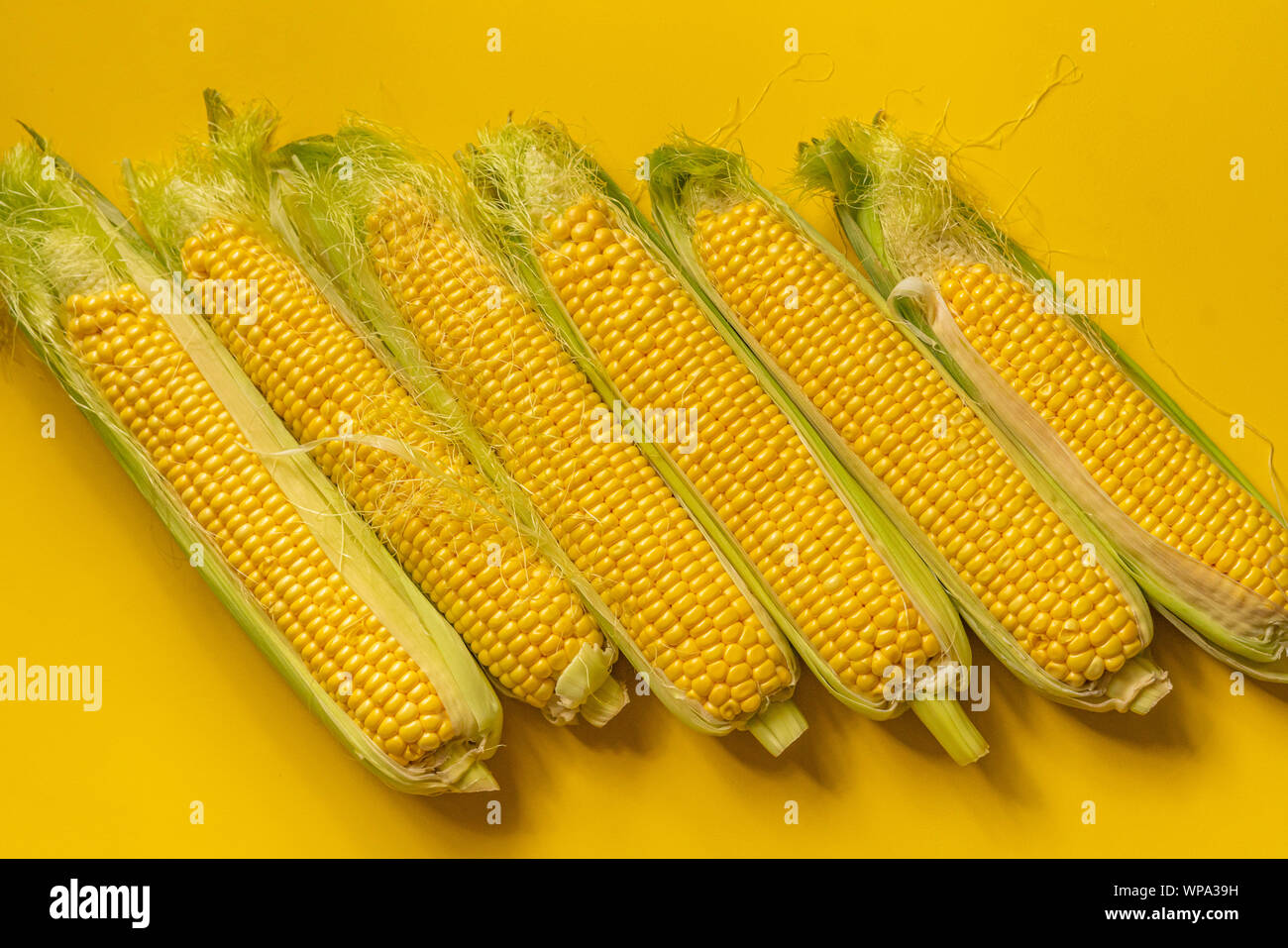 top view set of raw fresh corns with skin on color surfaces Stock Photo ...