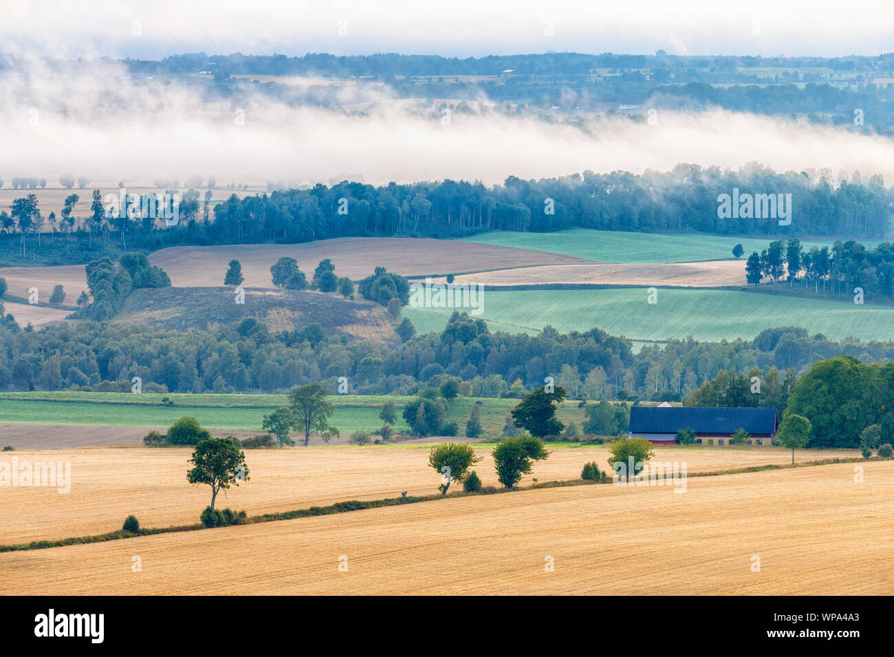 Cornfields aerial hi-res stock photography and images - Alamy