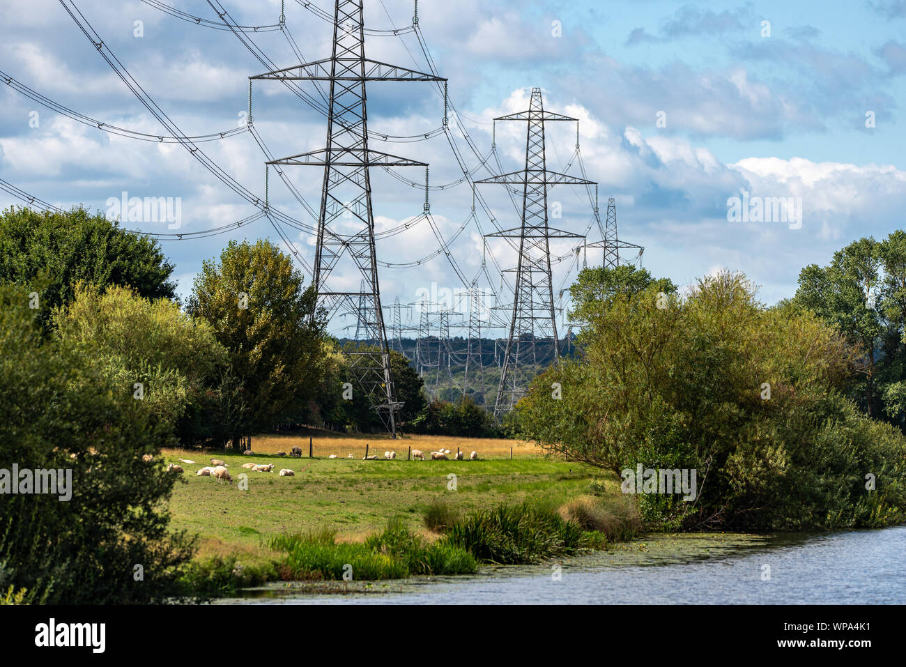 Electricity pylons in the countryside Stock Photo - Alamy