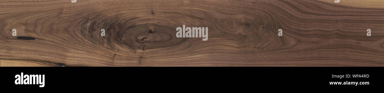 Black walnut wood texture of long solid board untreated, good for background Stock Photo - Alamy