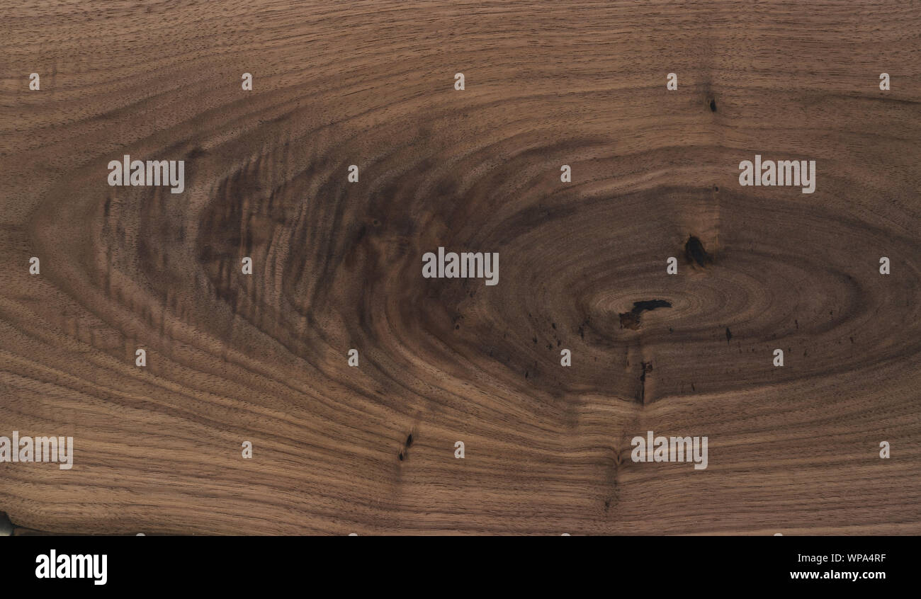 Texture of black walnut solid board untreated, good for background ...