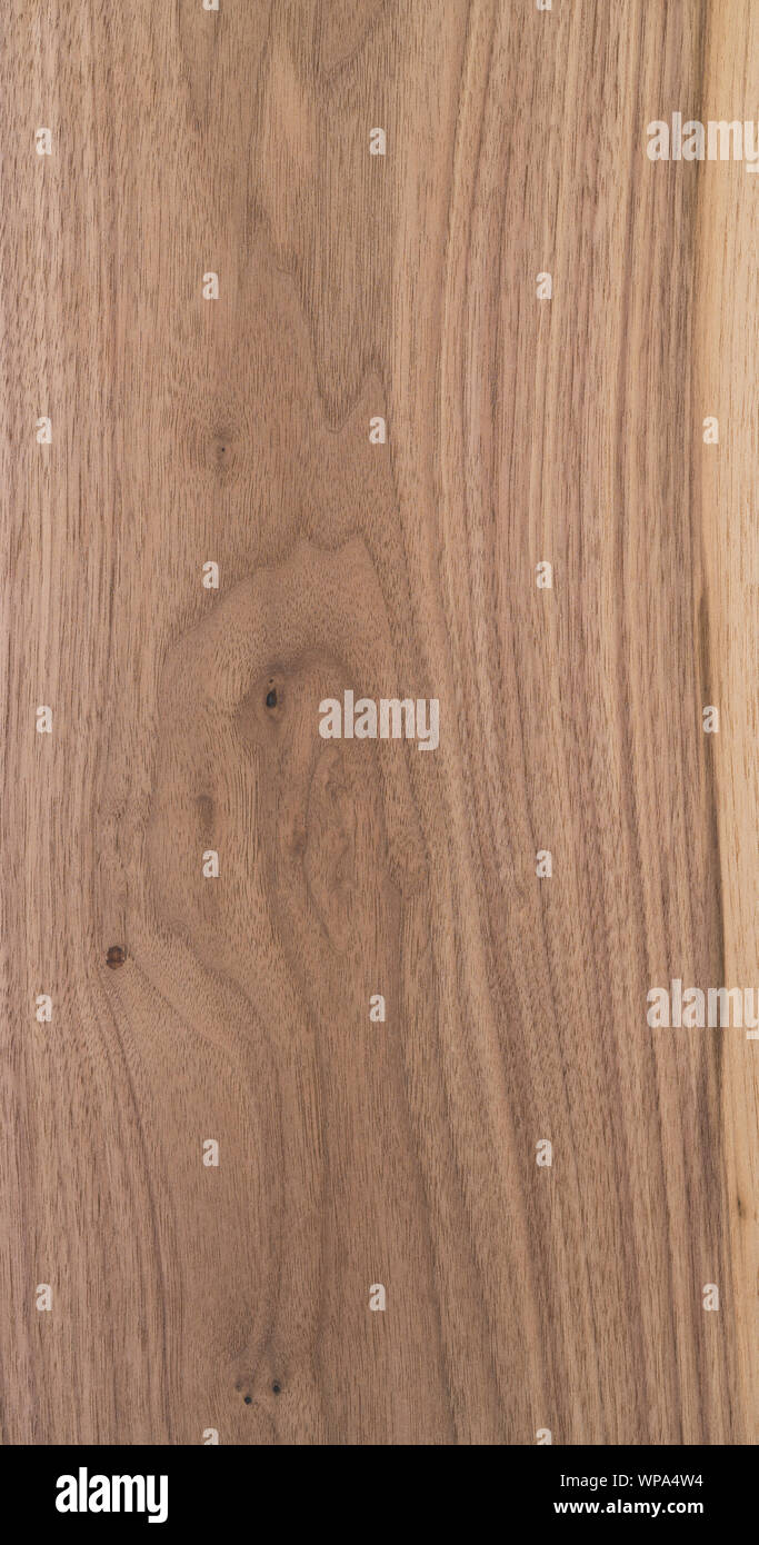Texture of black walnut solid board untreated, good for background ...