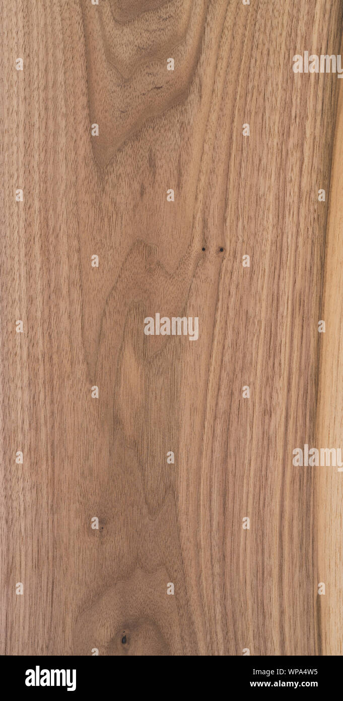 Texture of black walnut solid board untreated, good for background ...