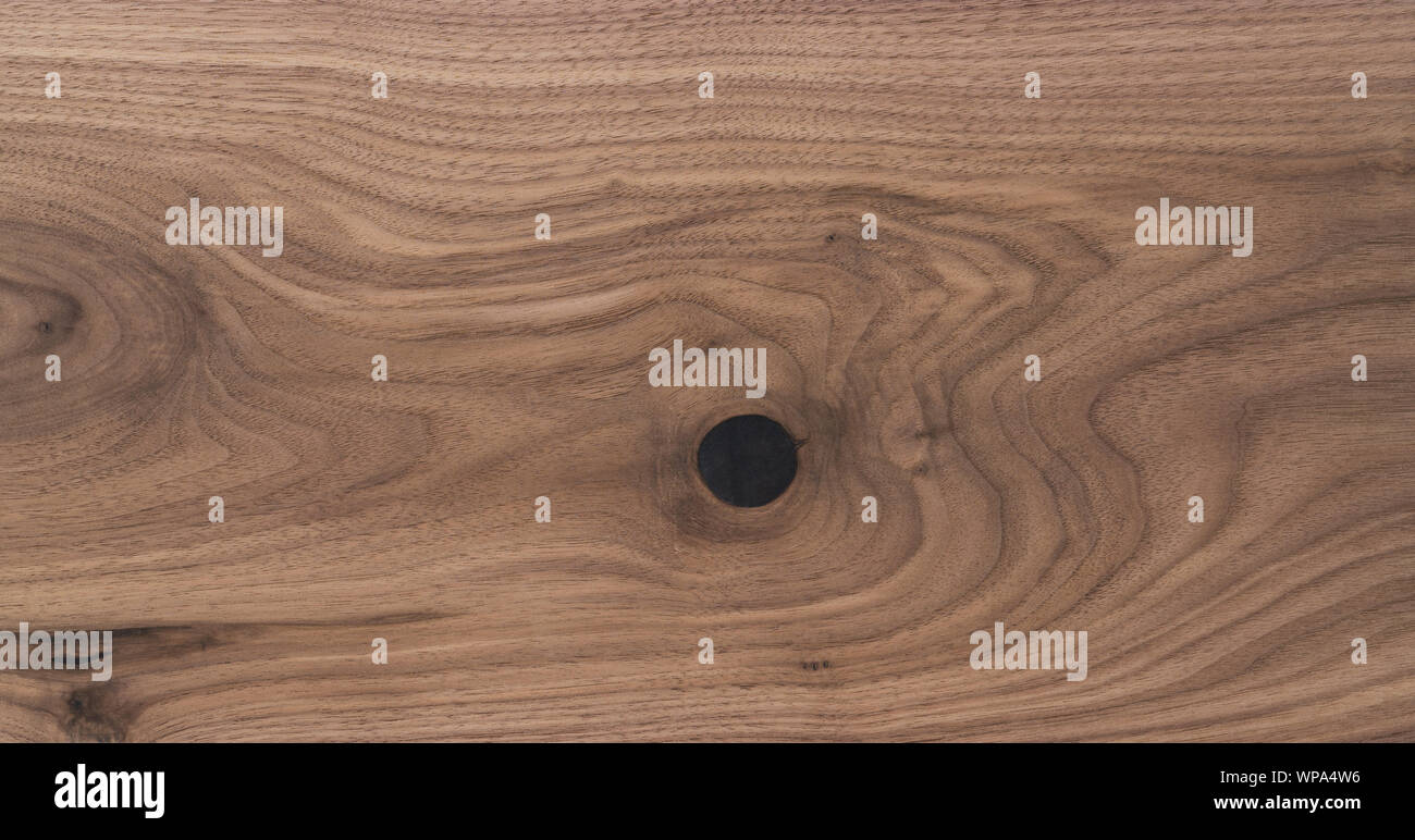 Texture of black walnut solid board untreated, good for background ...