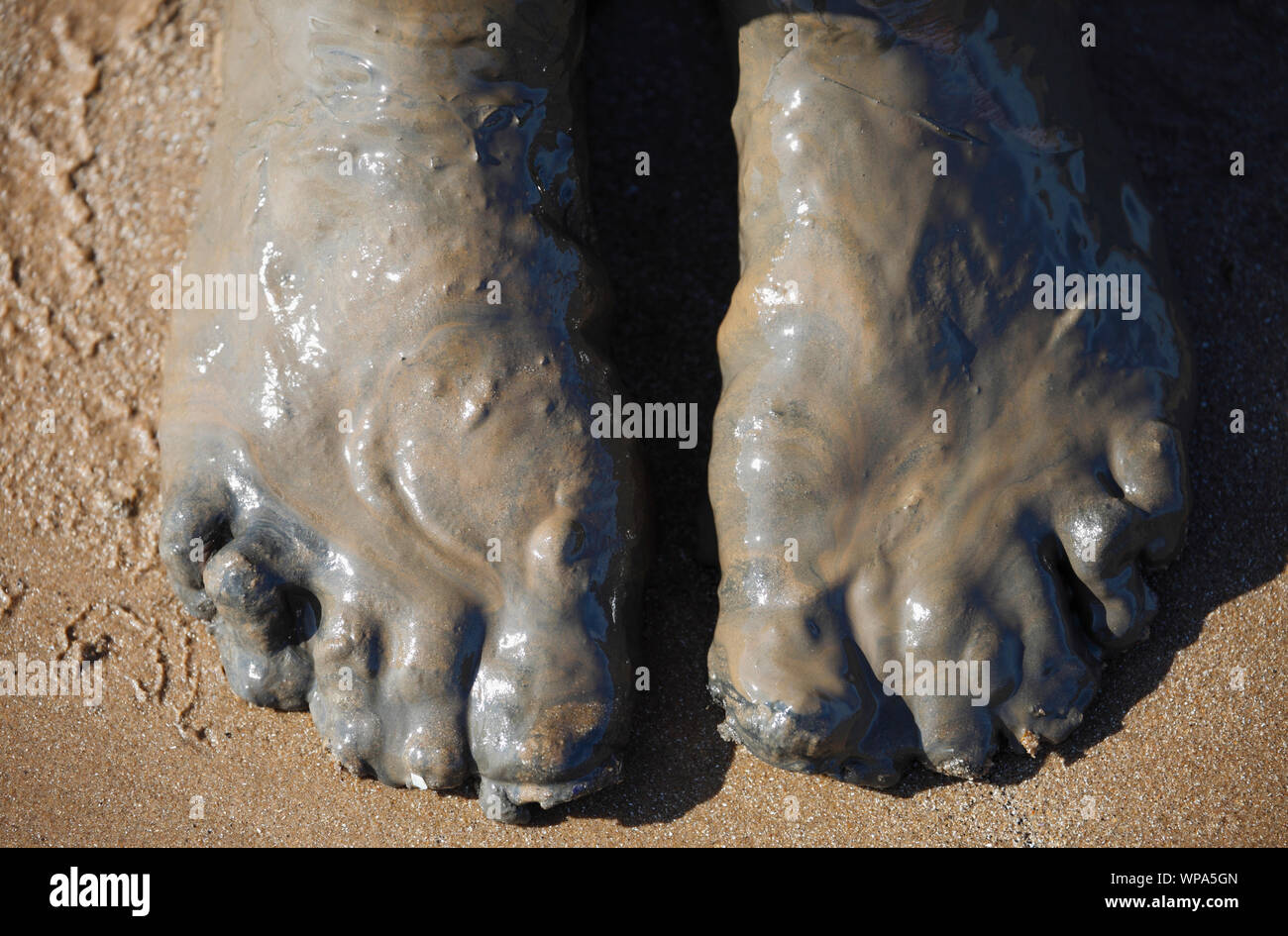 Feet covered in slimy muddy mud on a beach Stock Photo - Alamy