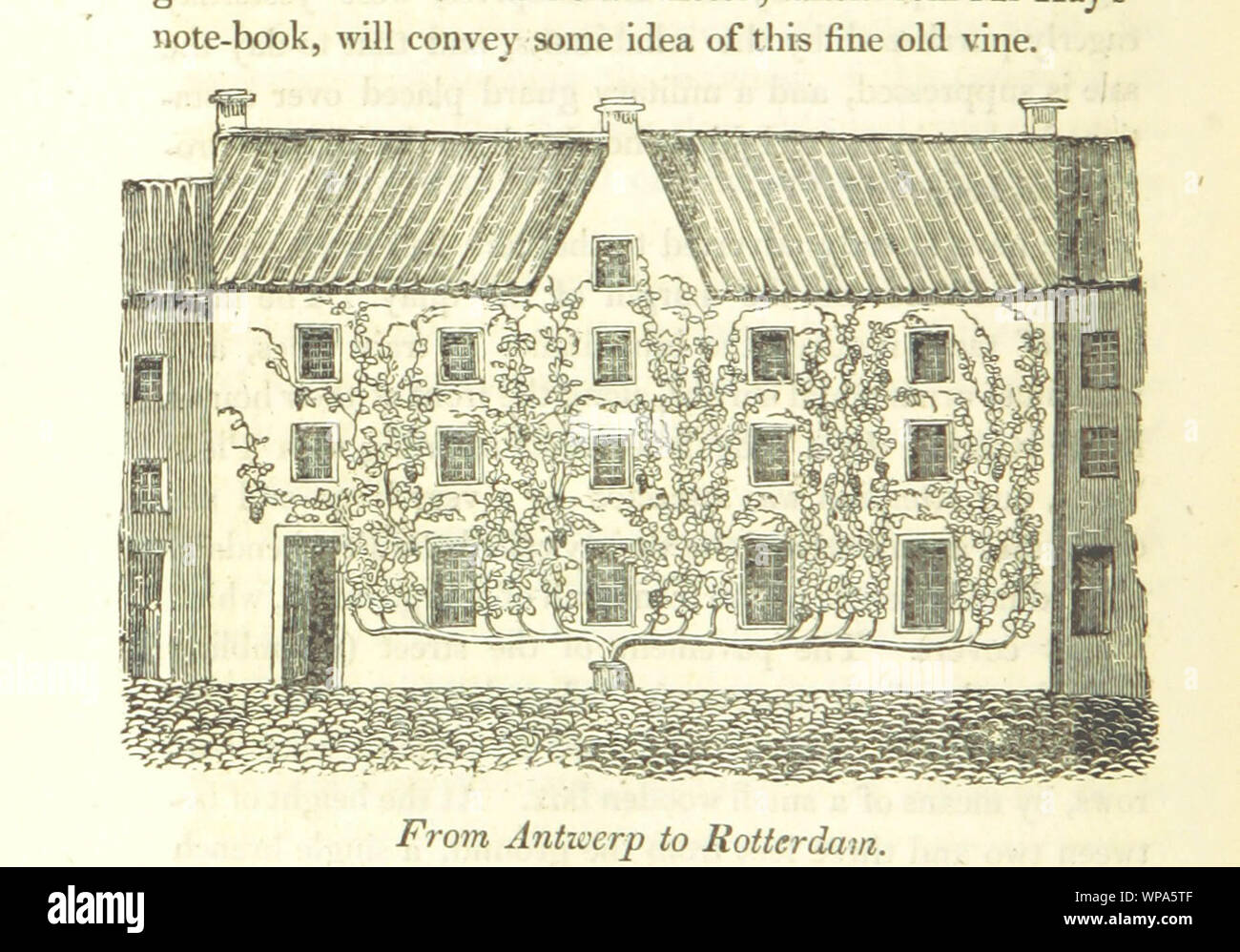 Journal of Horticultural Tour through some Parts of Flanders Holland ...