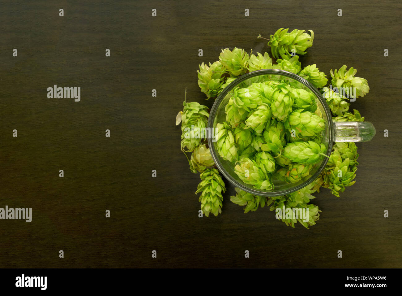 Beer glass mug filled with green hop cones. Concept of brewing process ...