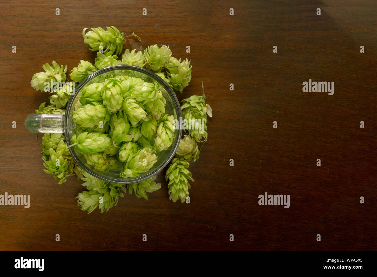 Beer glass mug filled with green hop cones. Concept of brewing process ...