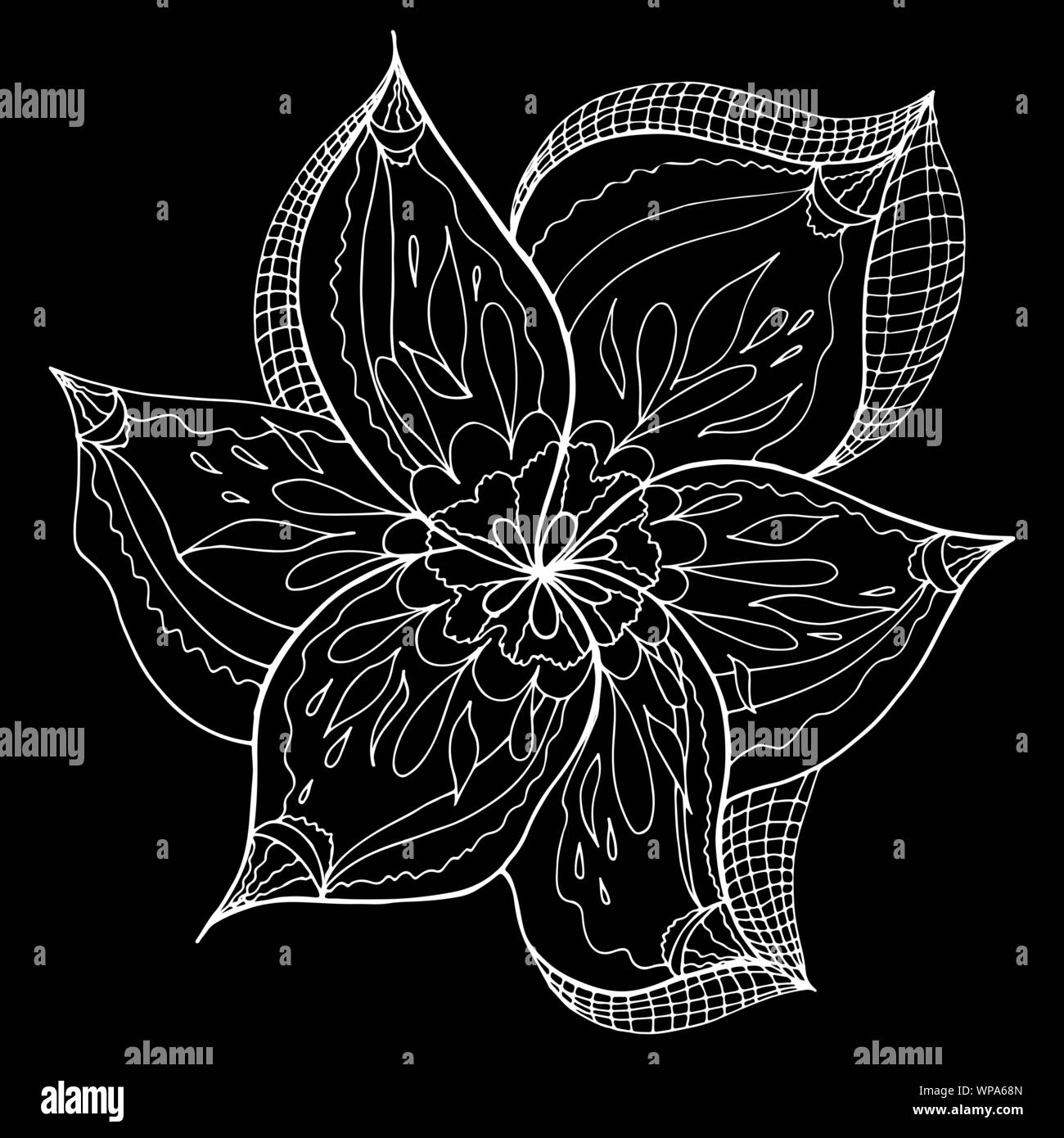 Engraved hand drawn abstract orchid. Retro flowers hand outline orchid ...