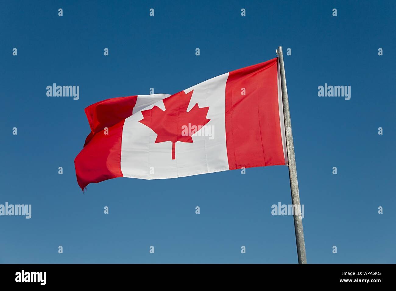 Canadian Flag Against Blue Sky Stock Photo - Alamy