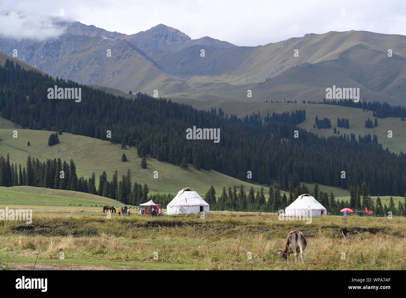 Xinyuan county hi-res stock photography and images - Alamy