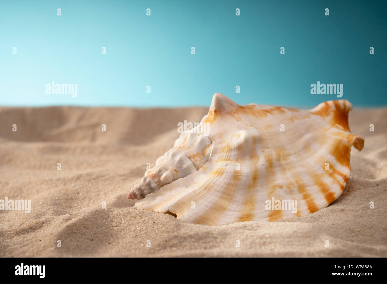 Celadon beach resort hi-res stock photography and images - Alamy