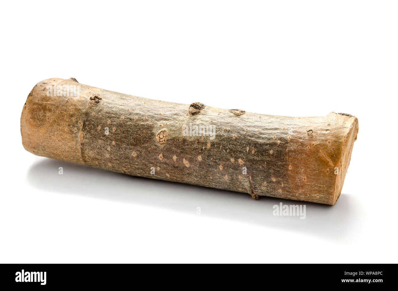 Log on wooden background Cut Out Stock Images & Pictures - Alamy