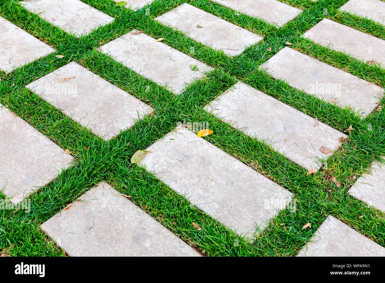 Grass Pavement Texture