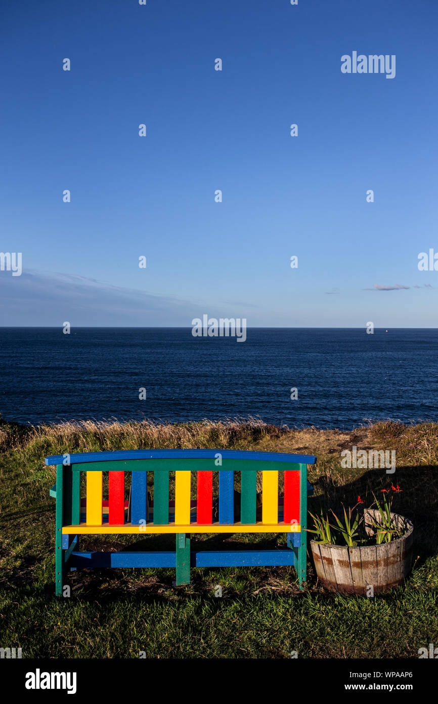 colored bench at the sea Stock Photo - Alamy