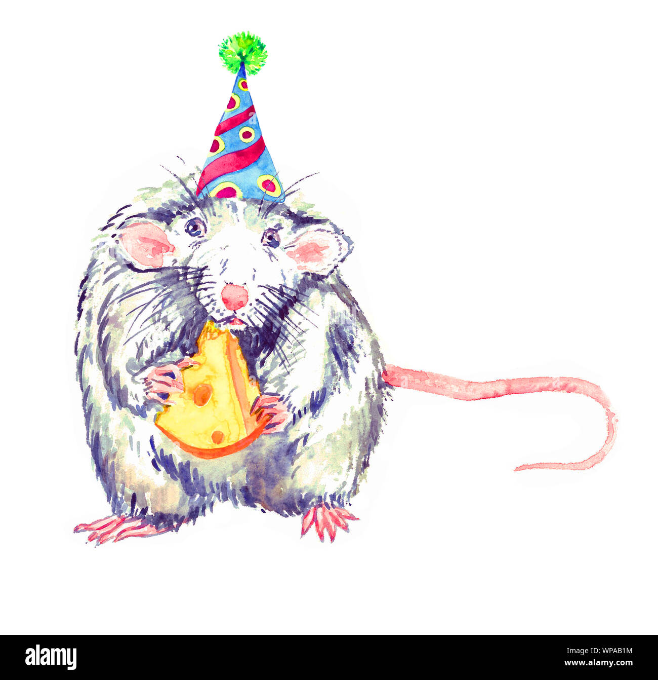 Rat eat cheese drawing hi-res stock photography and images - Alamy