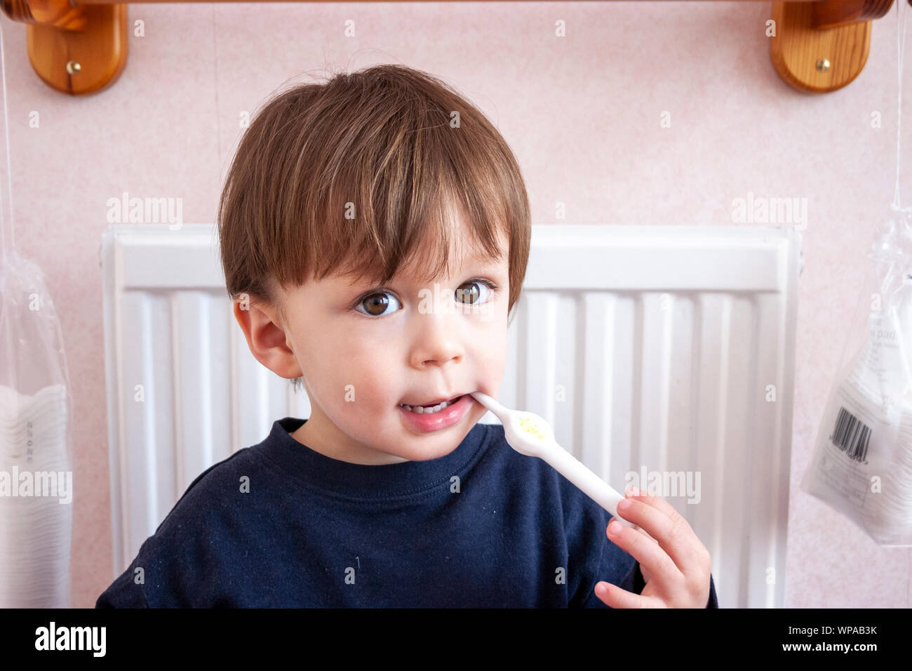 Caucasian child, boy, 3-4 year old. Head and shoulders, boy holding ...