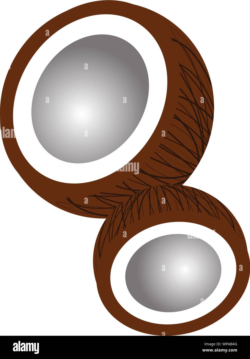 cartoon coconut shell,isolated,vector illustration Stock Vector Image ...