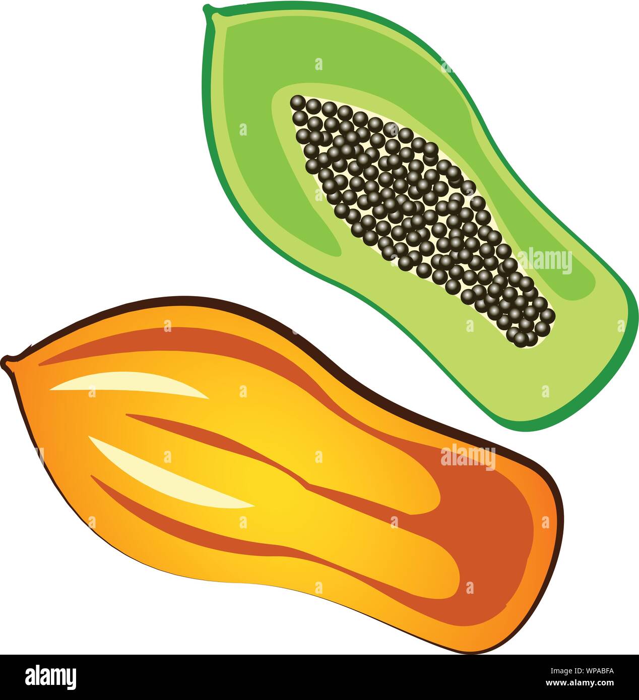 cartoon papaya,isolated,vector illustration Stock Vector Image & Art ...