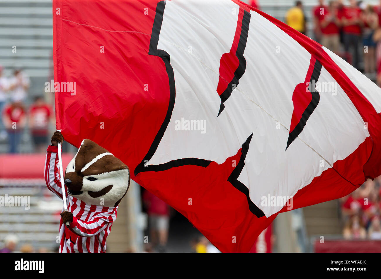 Bucky badgers hi-res stock photography and images - Alamy