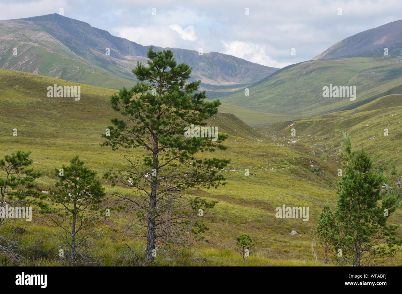 The Lairig Ghru glacial valley at the heart of Cairngorms National Park ...