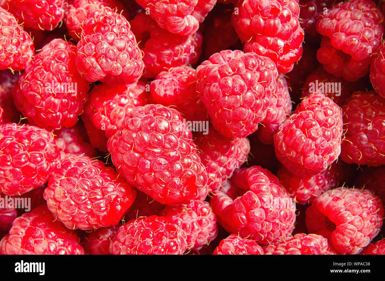 sweet and fresh raspberry background Stock Photo - Alamy