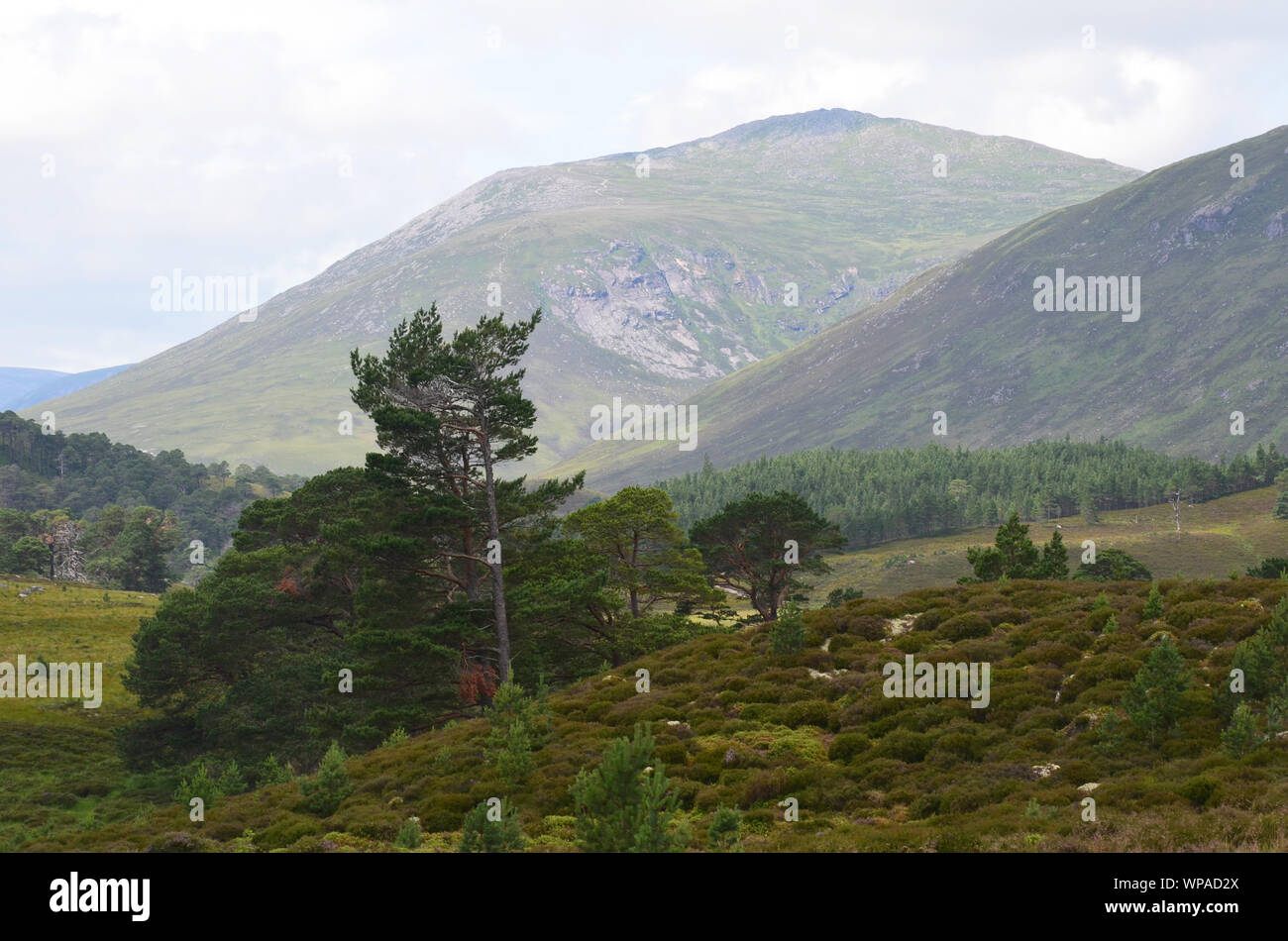 The Lairig Ghru glacial valley at the heart of Cairngorms National Park ...