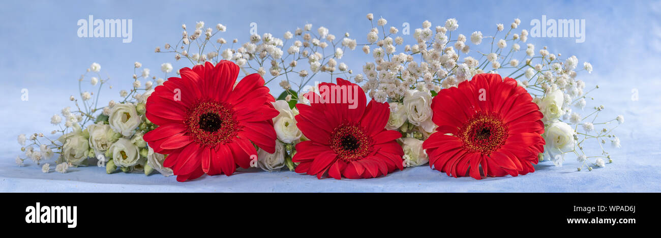 Panoramic flower hi-res stock photography and images - Alamy