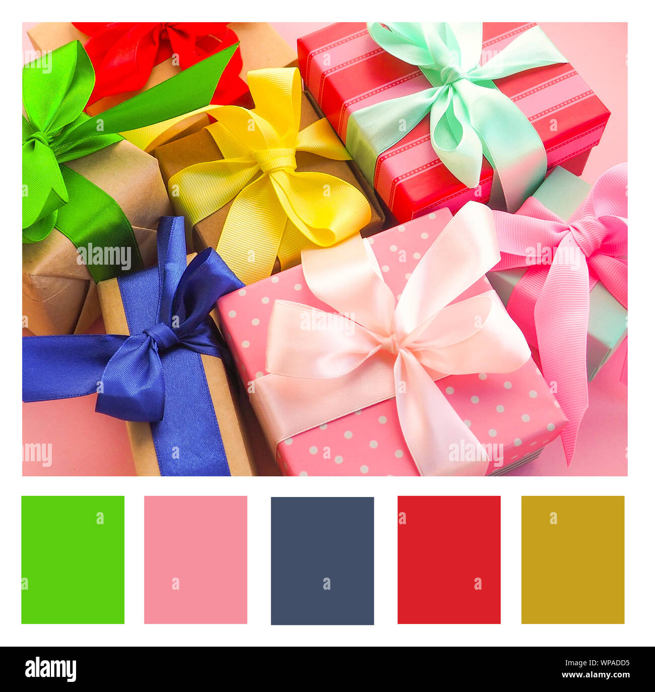 Special colour scheme Cut Out Stock Images & Pictures - Alamy