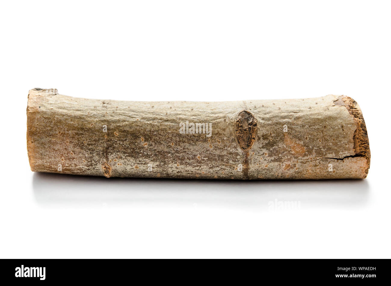 log isolated on a white background Stock Photo - Alamy