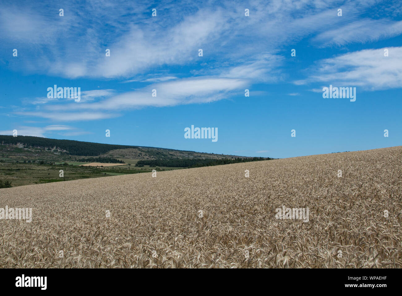 Cevennes national park and forest hi-res stock photography and images ...