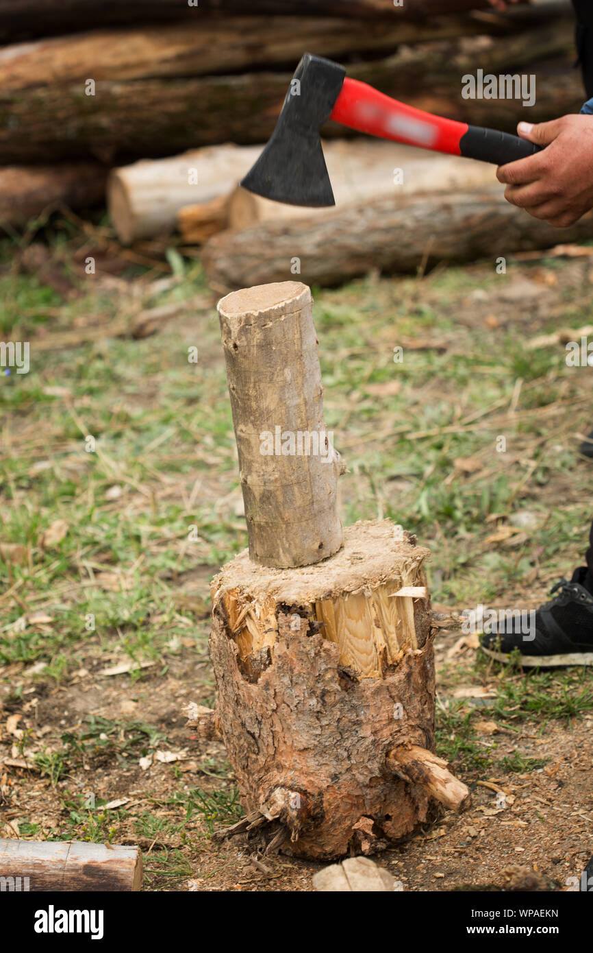 Man choping wood in the forest Stock Photo - Alamy
