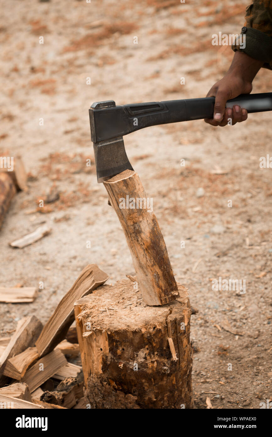 Man choping wood in the forest Stock Photo - Alamy