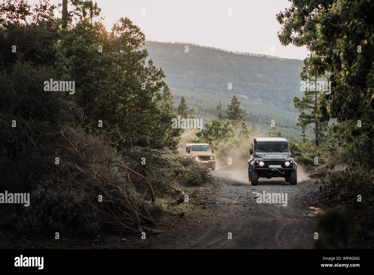 Friends driving two 4x4 during sunset in the forest Stock Photo - Alamy